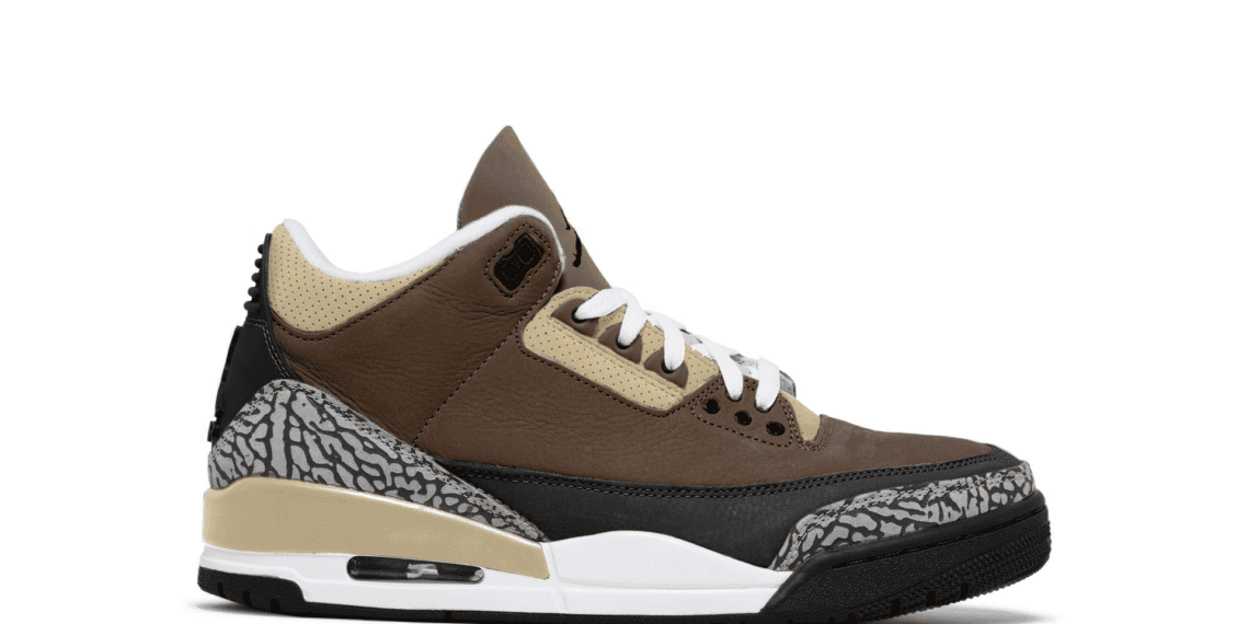Step Back in Time: The Air Jordan 3 Meets Jurassic Park